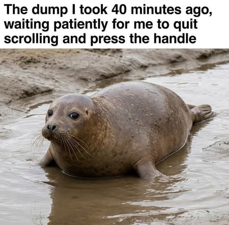 Memes Del Equipo Seal Best Funny Seal Team Memes 9GAG