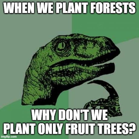 Meme Del Filosofo Raptor The Best Raptor Memes :) Memedroid