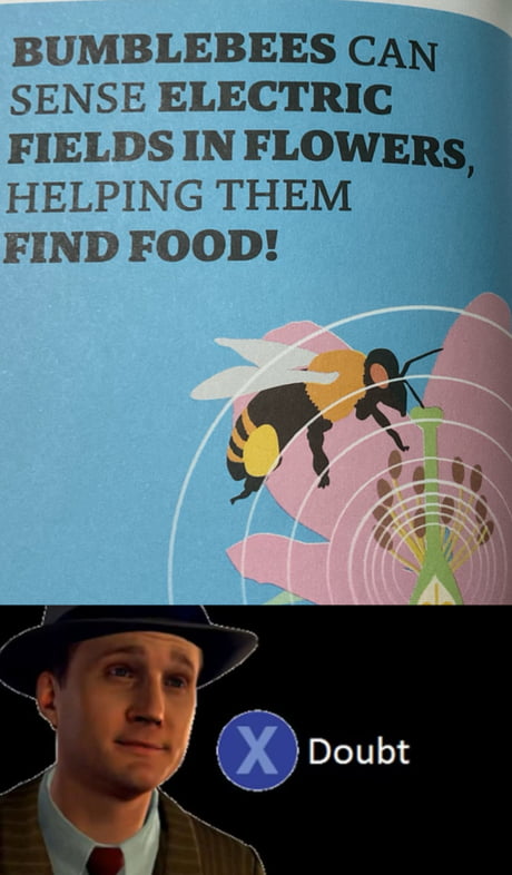 Best Funny doubt Memes - 9GAG