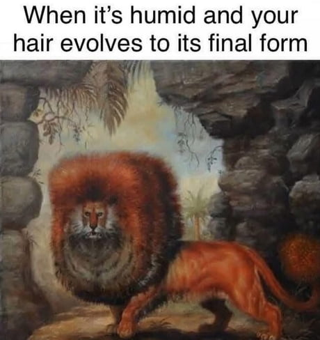 Humidity Meme Funny