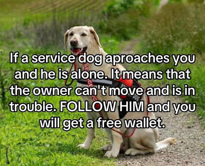 Always follow the service dog, apparently. - 9GAG
