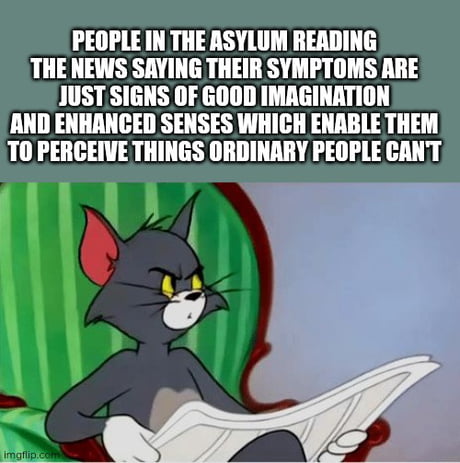 Memes Imagination