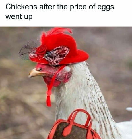 Best Funny chicken nuggets Memes - 9GAG