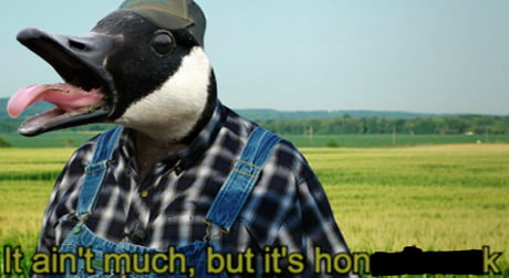 Best Funny goose Memes - 9GAG