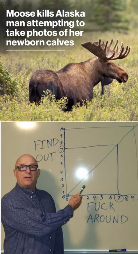 Best Funny fafo Memes - 9GAG