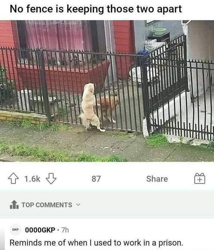 A job in a prison can be actually rewarding - 9GAG