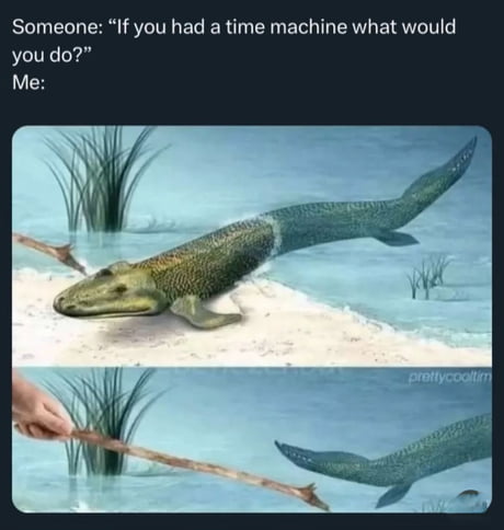 Best Funny evolution Memes - 9GAG