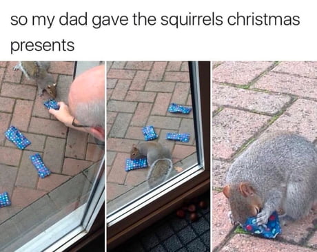 Scott Aylesworth - 9GAG