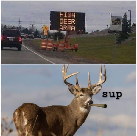 Best Funny sup Memes - 9GAG