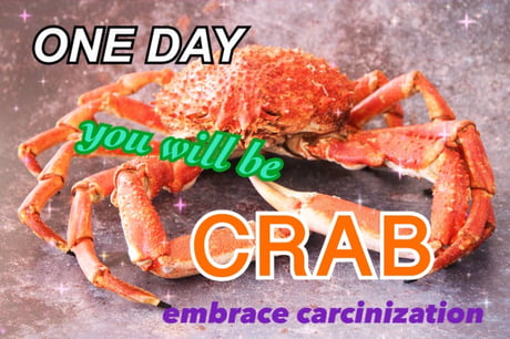 Best Funny crab Memes - 9GAG