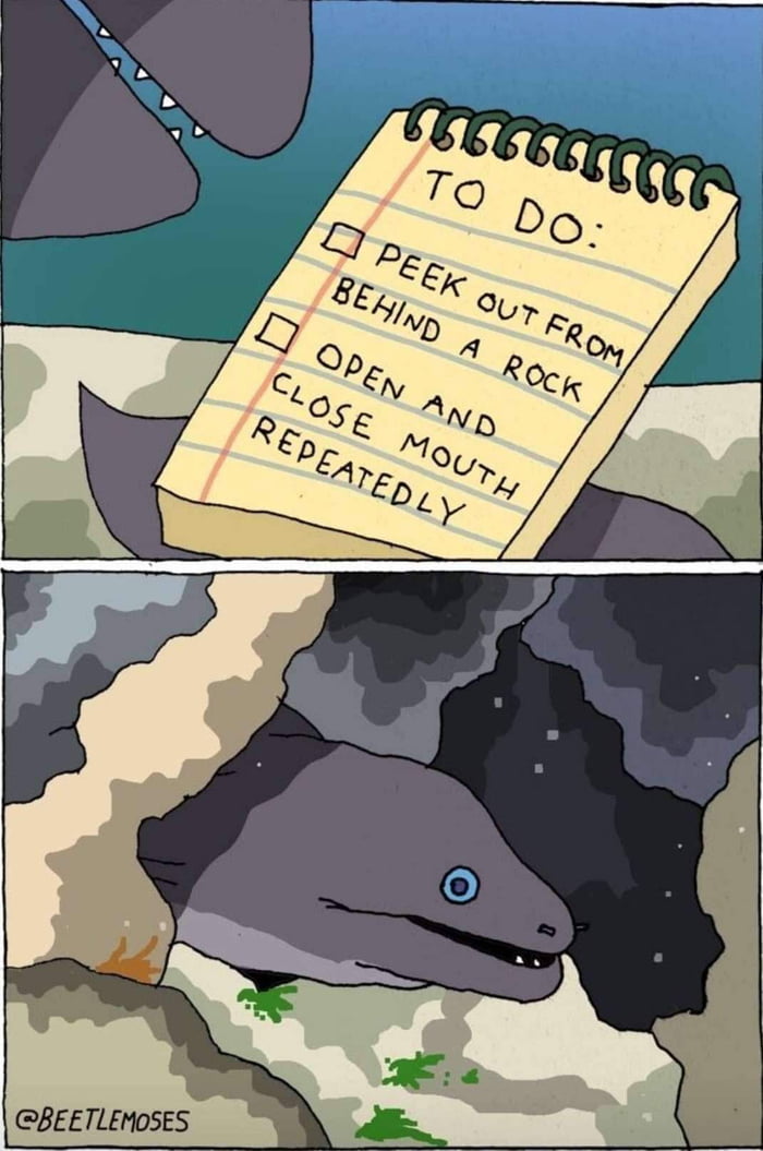 That's a Moray - 9GAG