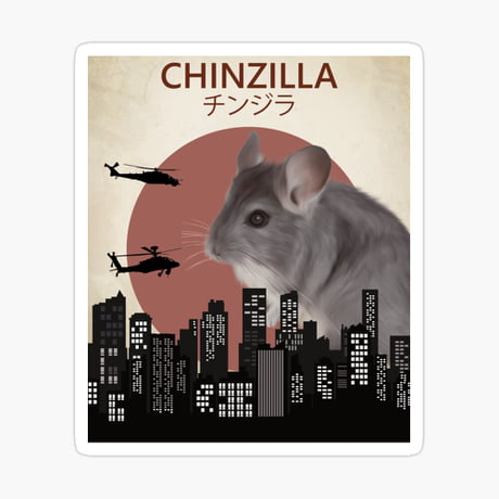 Best Funny chinchilla Memes - 9GAG