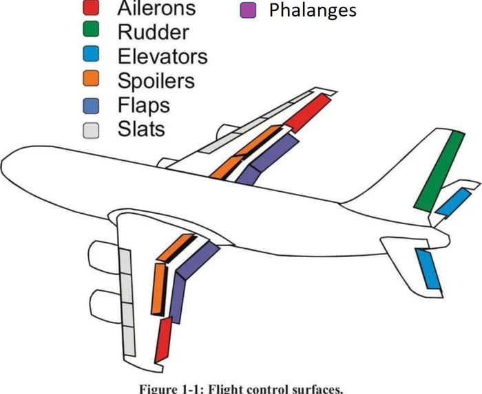 Something is wrong with the left phalange - 9GAG