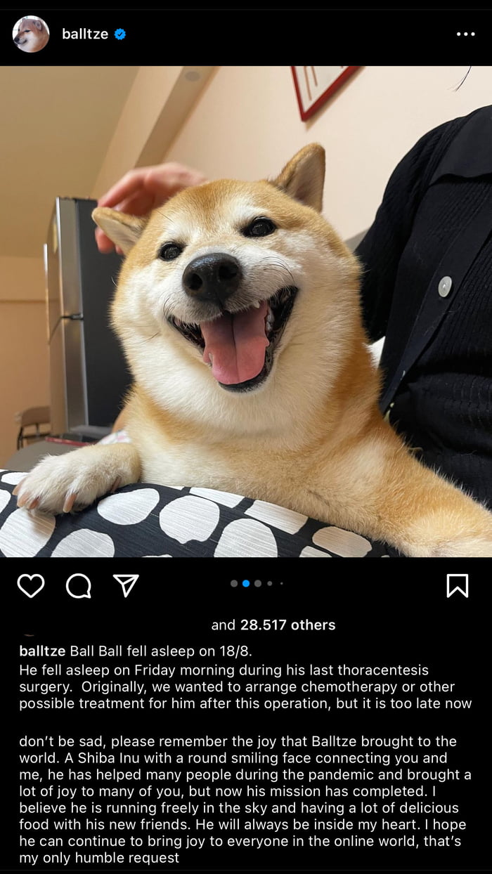 Cheemz aka Balltze passed away today (18/8) due to some chronic illness ...