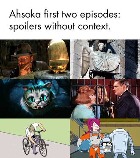 Best Funny sabine wren Memes - 9GAG