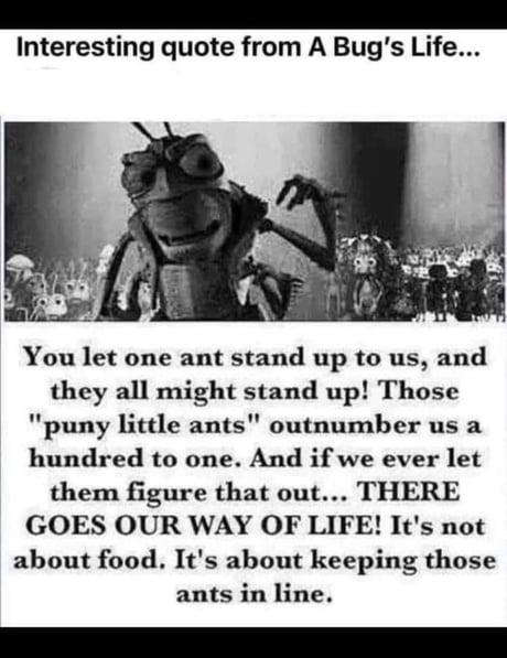 Best Funny ants Memes - 9GAG