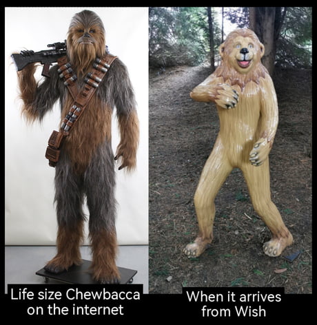 Best Funny chewbacca Memes - 9GAG