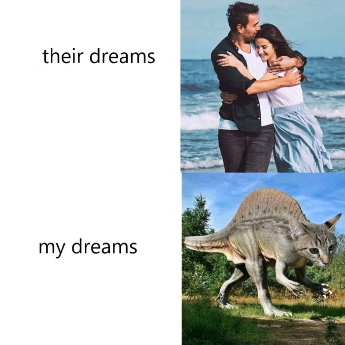 Psssss psss pssss - 9GAG