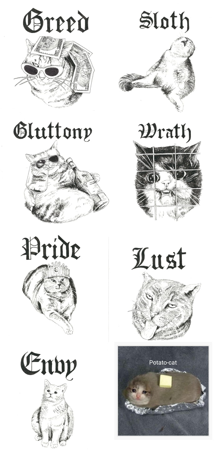 All 7 Sins as meme-cats - 9GAG