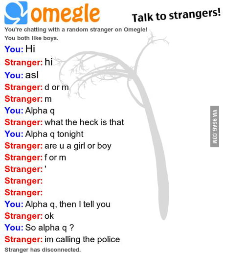 Alpha Girlfriend Memes