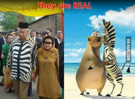Alex & Gloria(Madagascar) real life version - 9GAG