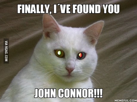 Terminator Cat Memes