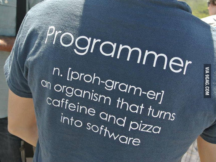 The Definition of Programmer - 9GAG