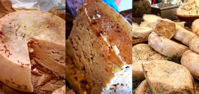 Cazu Marzu Cheese (yes, full of living worms) - 9GAG