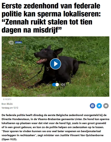 Ventende Hund Meme
