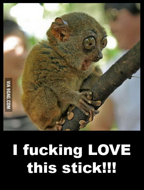 Best stick in the world - 9GAG
