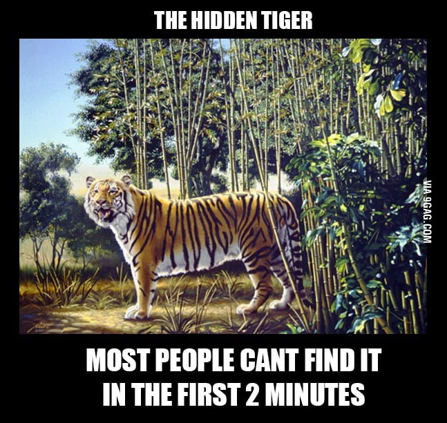 Can you find the hidden tiger? - 9GAG