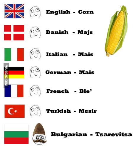 Language Differences Meme