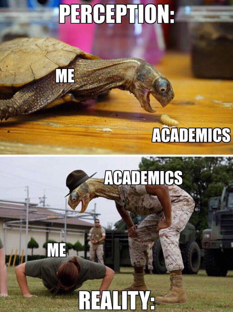 Perception Reality Memes Stay At Home Mums: Perception Vs Reality