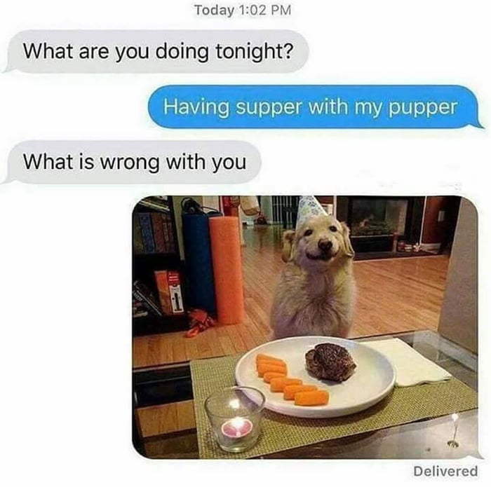 Supper with my pupper - 9GAG