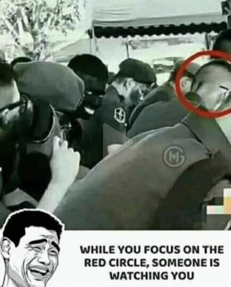 Are You Alright Meme