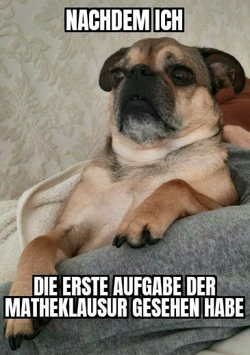 Mathematik 2 Meme Text Der Woche MEMES / Lesetext / Lesekonferenz