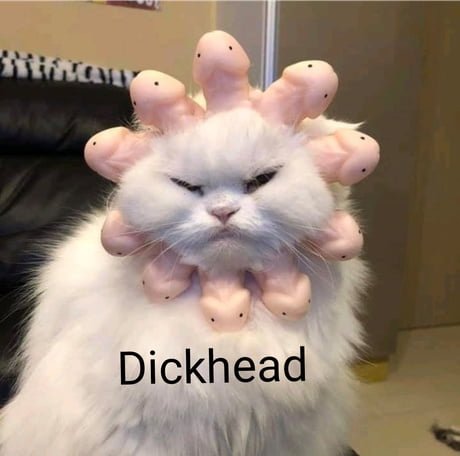 Dickhead Meme