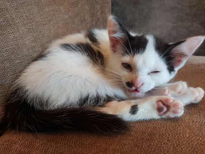 Caught her just as she woke up. Pulling that "F U it's too early for ...