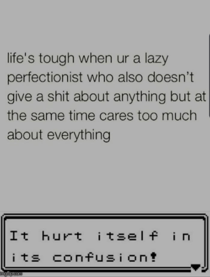 Haha, yes hedgehog - 9GAG