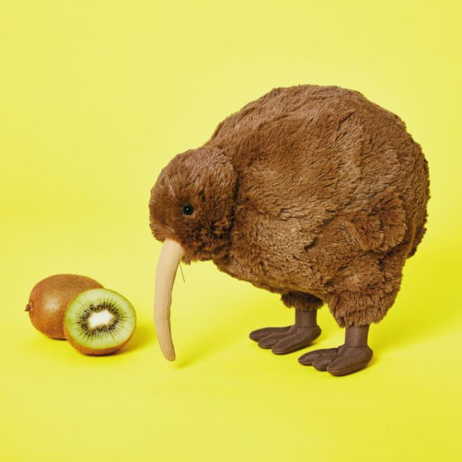 Japanese Retailer Collabs With Zoo To Release Fluffy Kiwi Stuffed Toy ...