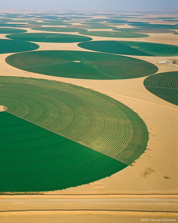 Center-pivot irrigation circles growing alfalfa in the Rub' al Khali ...