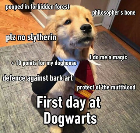 Dogger Memes NixCraft 🐧: "This Meme Is A Mockery Of Mode…"