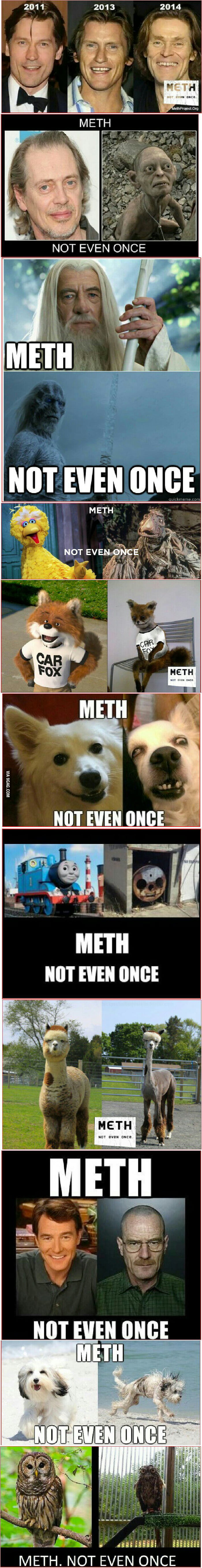 I present you: The best of methamphetamine not even once! - 9GAG