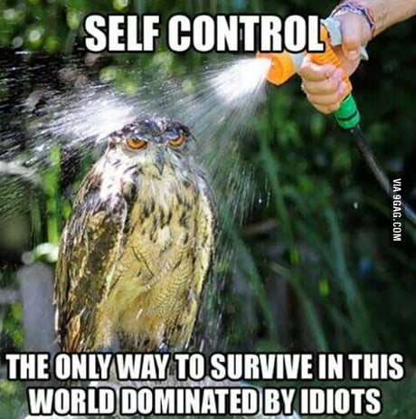 Self Control Meme Self Control Memes. Best Collection Of Funny