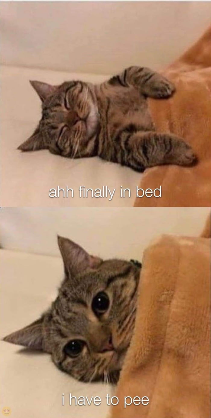 Let me pee in morning - 9GAG