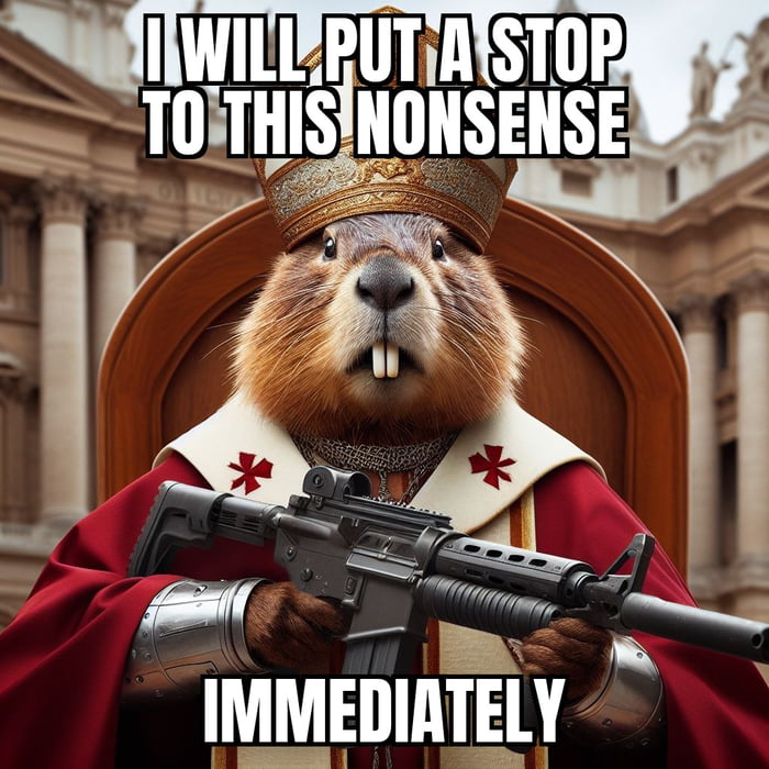 Bobr has enough of the TikTok posts - 9GAG