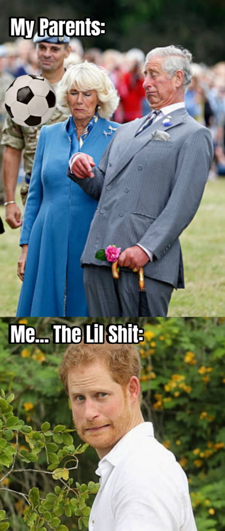 Best Funny prince charles Memes - 9GAG