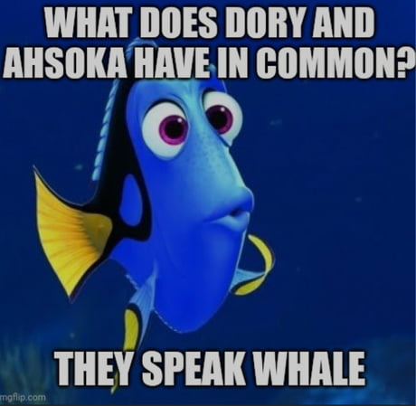 Funny Finding Nemo Meme