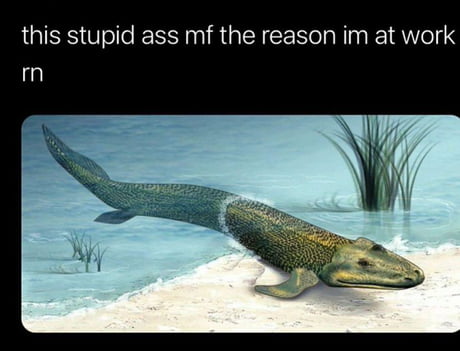 Memosaurus - 9GAG