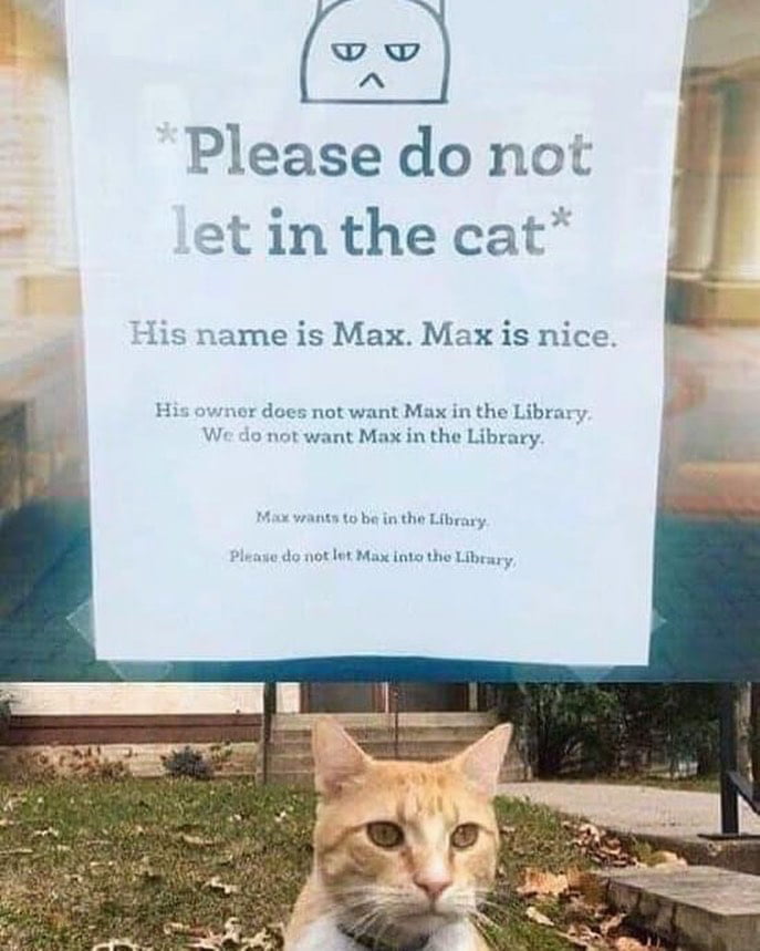 Do not the cat - 9GAG